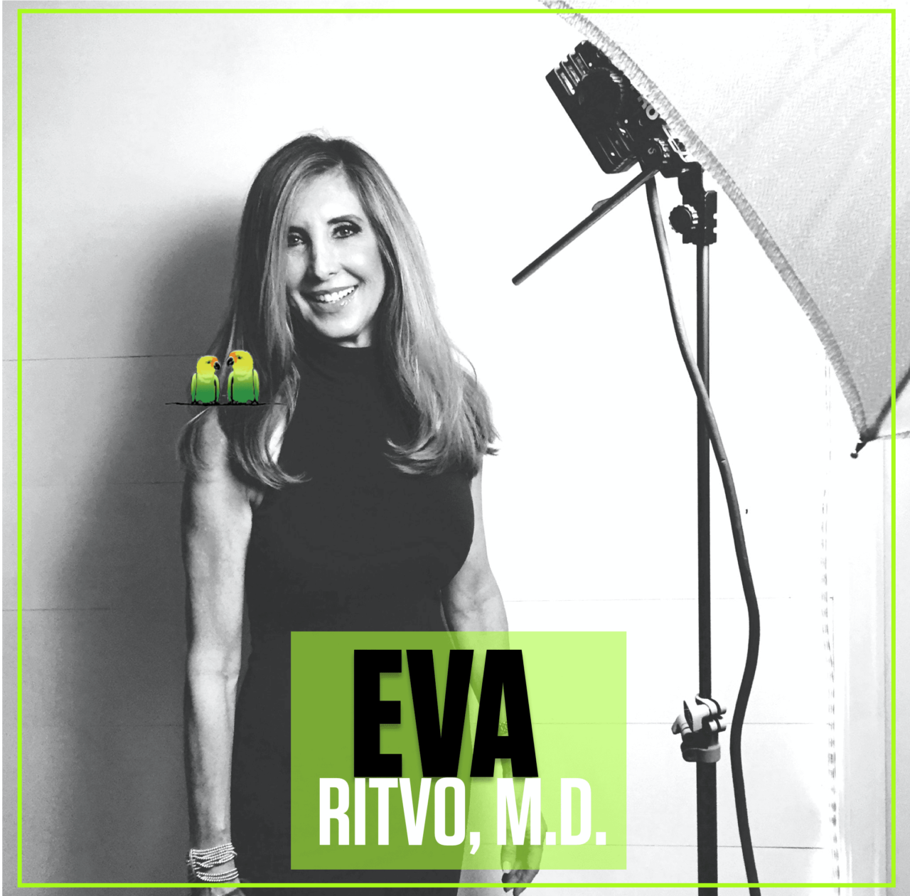 Team - Two Parrot Top Nonprofit Video Production Company in the USA